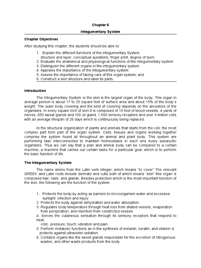 Chapter 6 Integumentary System | PDF | Skin | Integumentary System