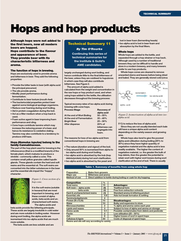 Hops And Hop Products Download Free Pdf Hops Brewing