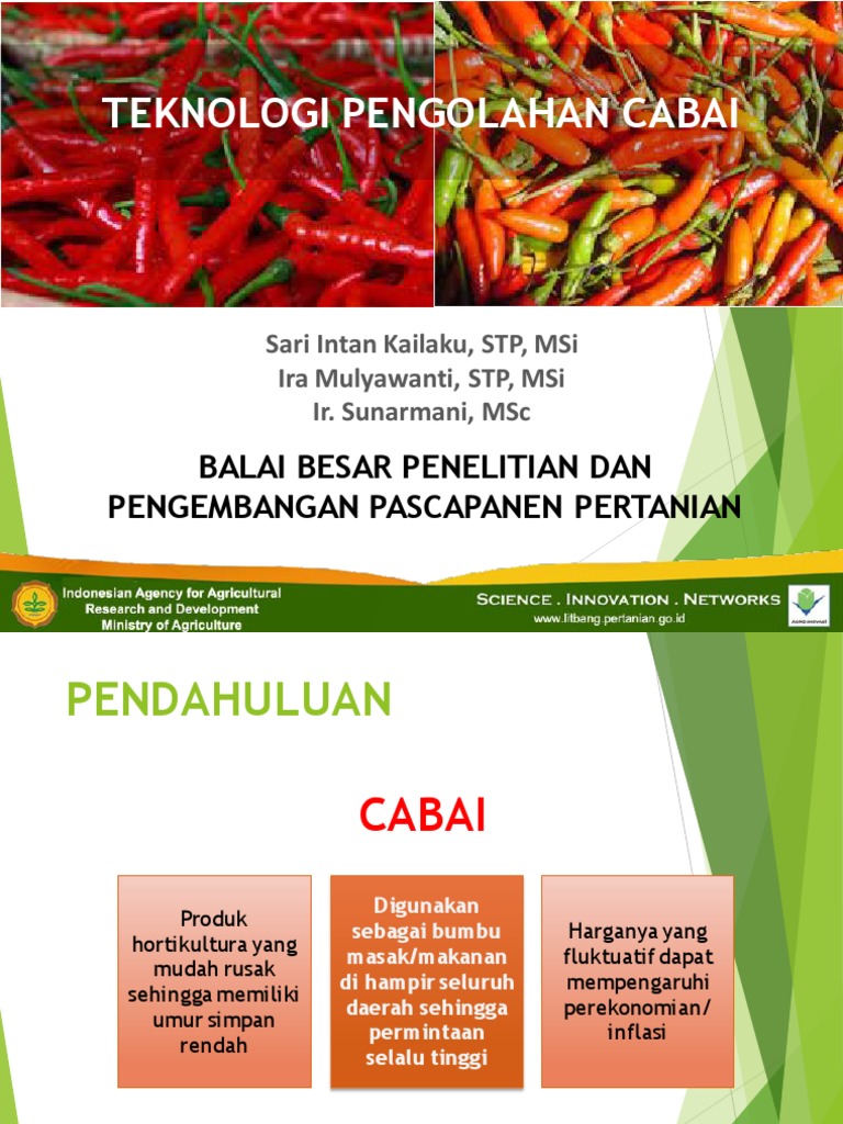 Teknologi Pengolahan Cabai Efektif | PDF | Memasak, Makanan, & Anggur