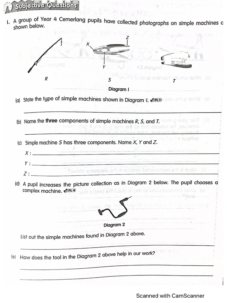 Science Year 5 | PDF