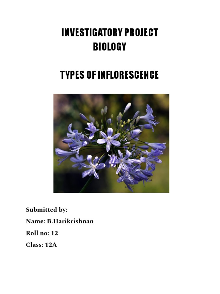 Investigatory Project | PDF | Horticultural Techniques | Branches Of Botany