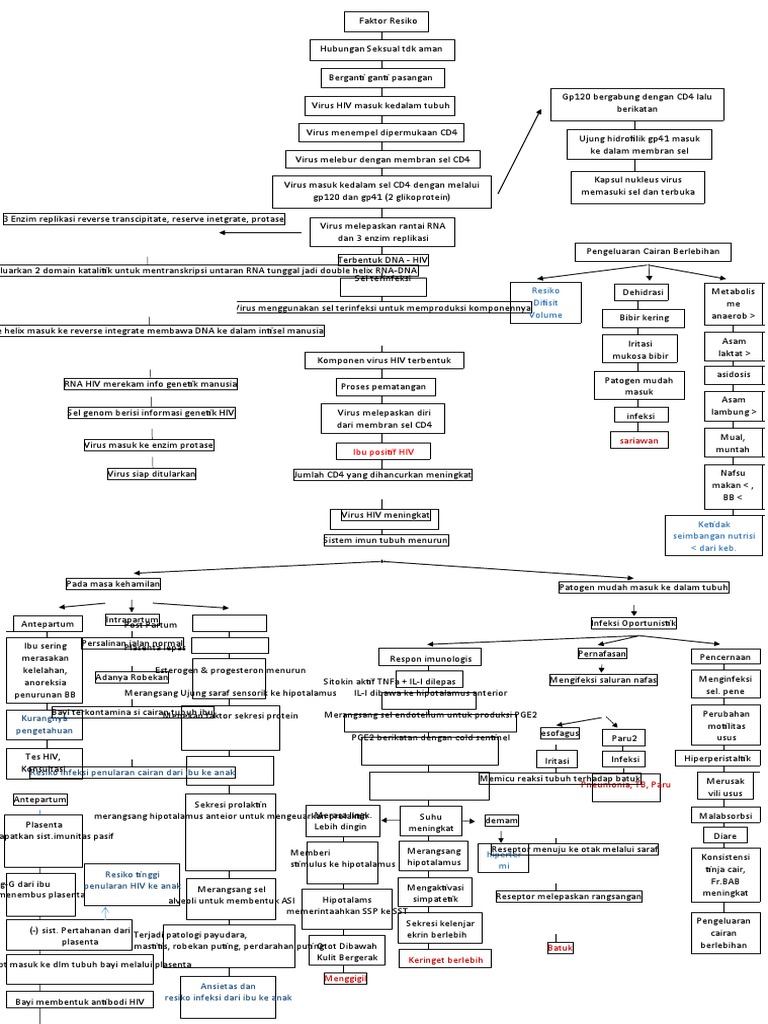 Pathway Hiv Ibu Hamil | PDF