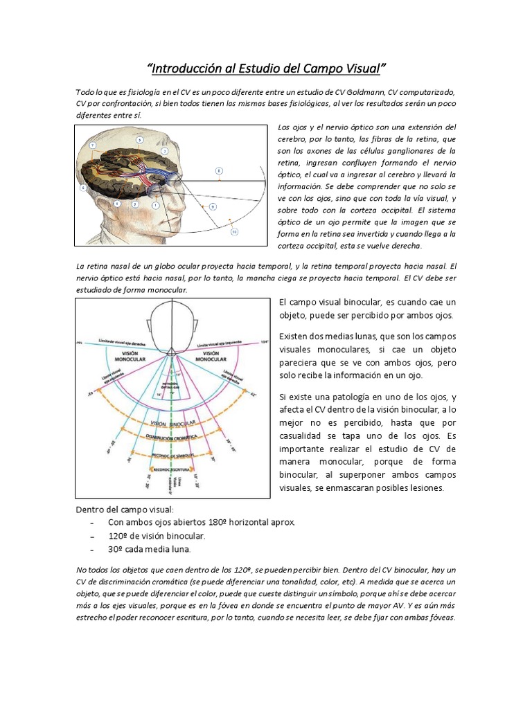 Introducción Al Estudio Del Campo Visual | PDF | Percepción visual | Ojo