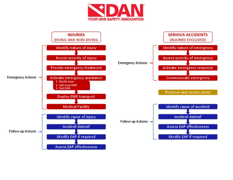 Injuries Serious Accidents: Diving and Non-Diving (Injuries Excluded) | PDF