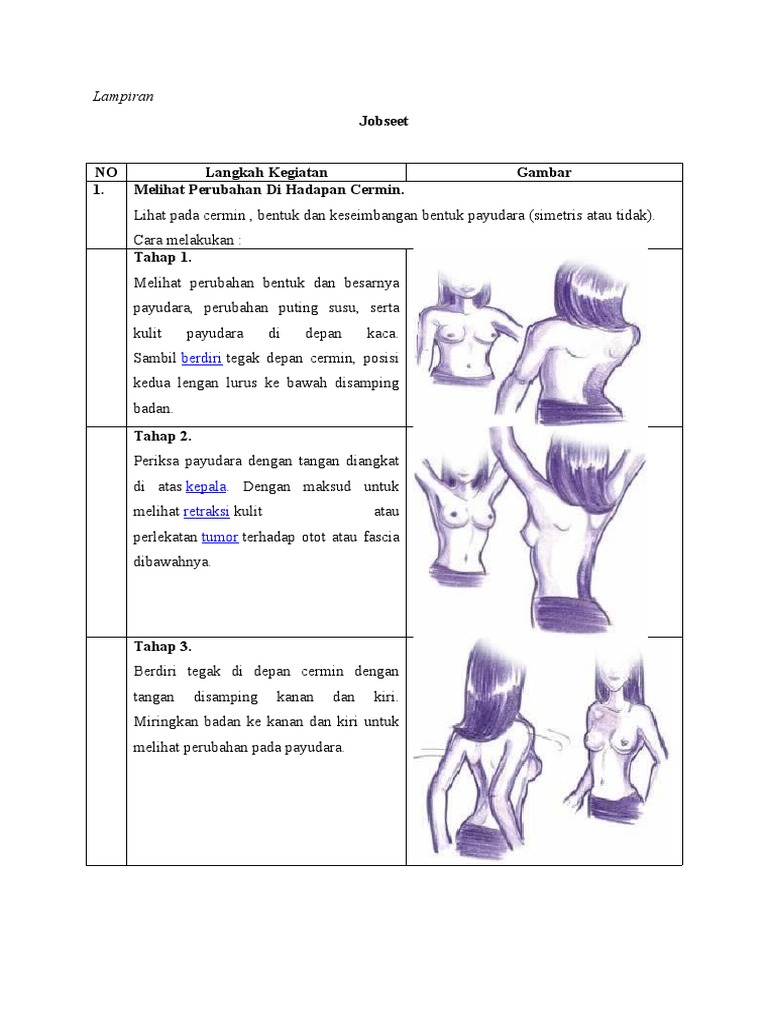 Panduan Pemeriksaan Payudara Mandiri | PDF