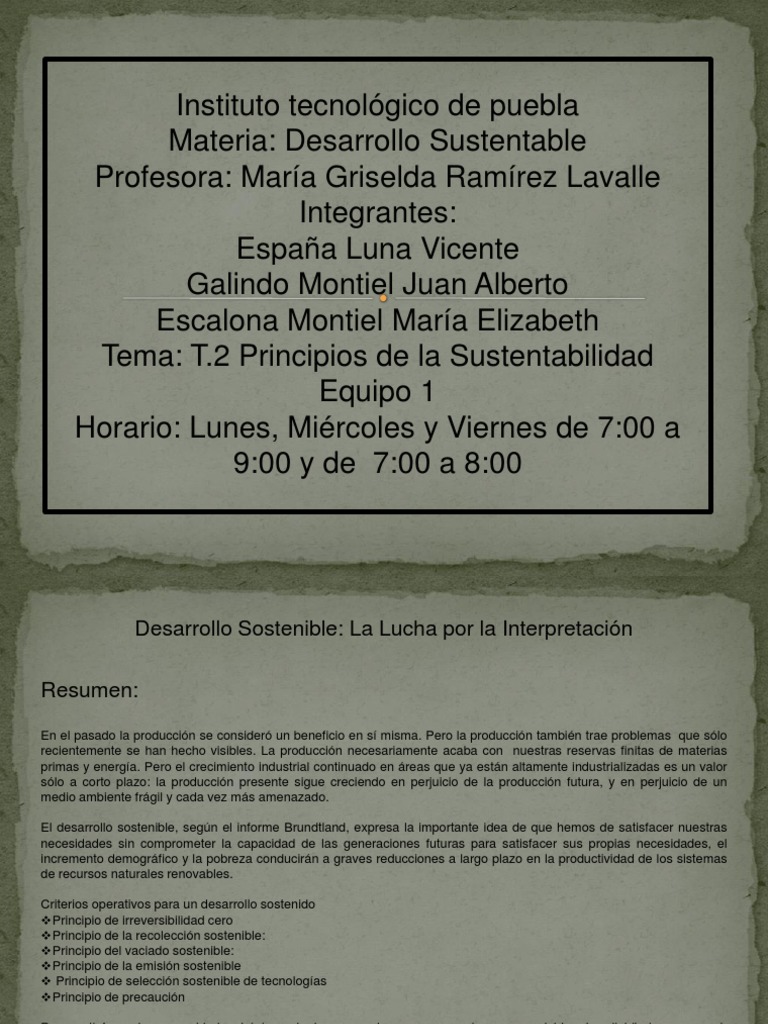 T.2 Principios de La Sustentabilidad | PDF | Sustentabilidad | Desarrollo sostenible