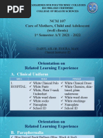 Doh Health Programs (Maternal) | PDF | Pregnancy | Micronutrient