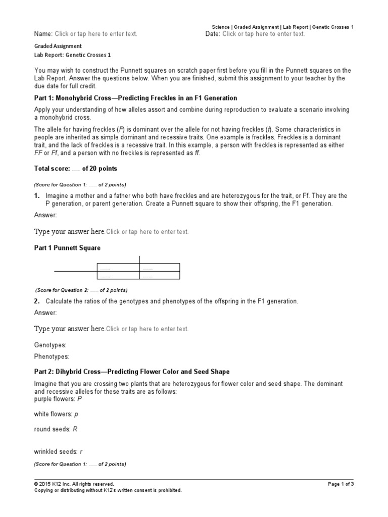 Click or Tap Here To Enter Text. Click or Tap Here To Enter Text | PDF ...