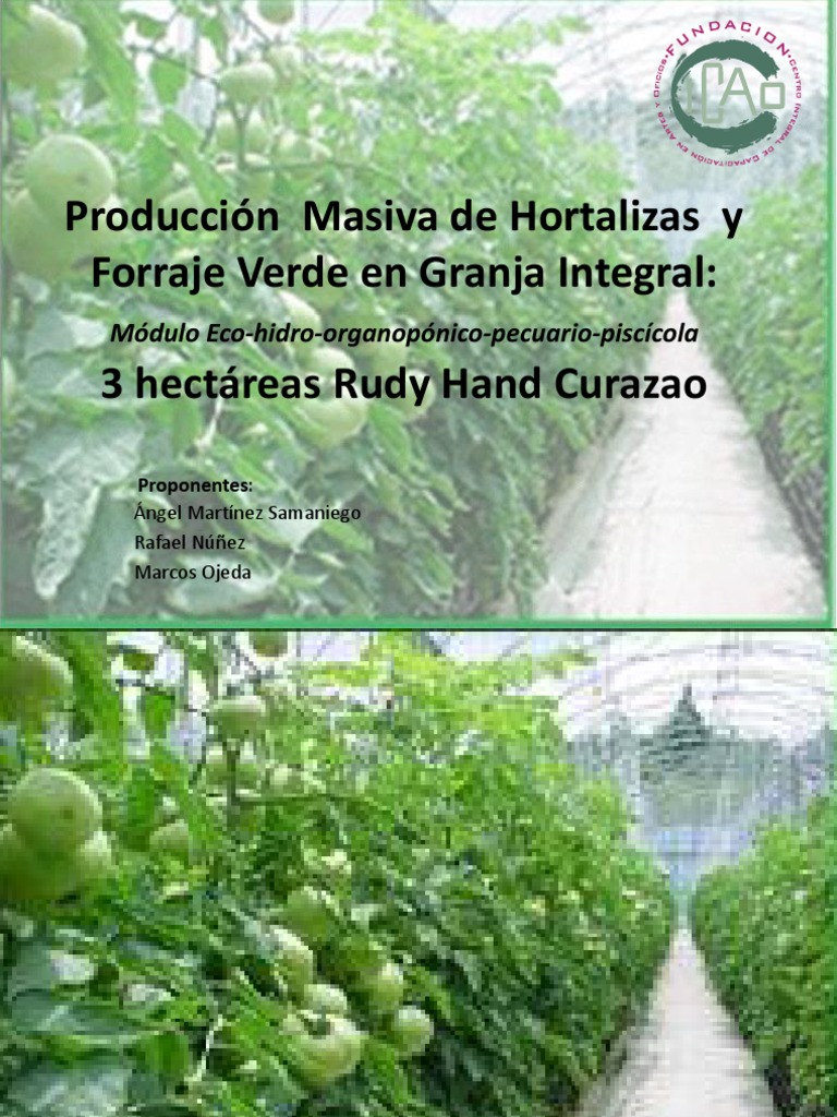 Granja Integral Hidrorganoponico RUDDY HANDS 3hect Curazao | PDF ...