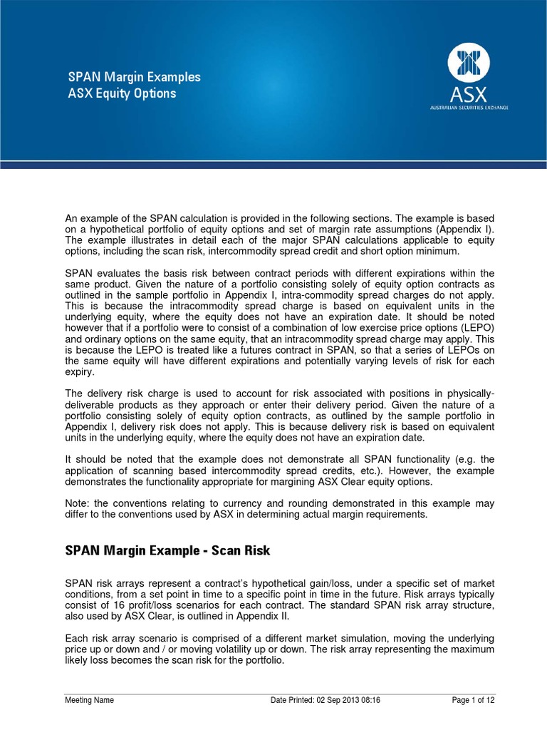 Span Examples | PDF | Greeks (Finance) | Option (Finance)