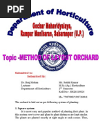 Module 4 Preparing Layout Design For Orchard | PDF | Rectangle | Orchard
