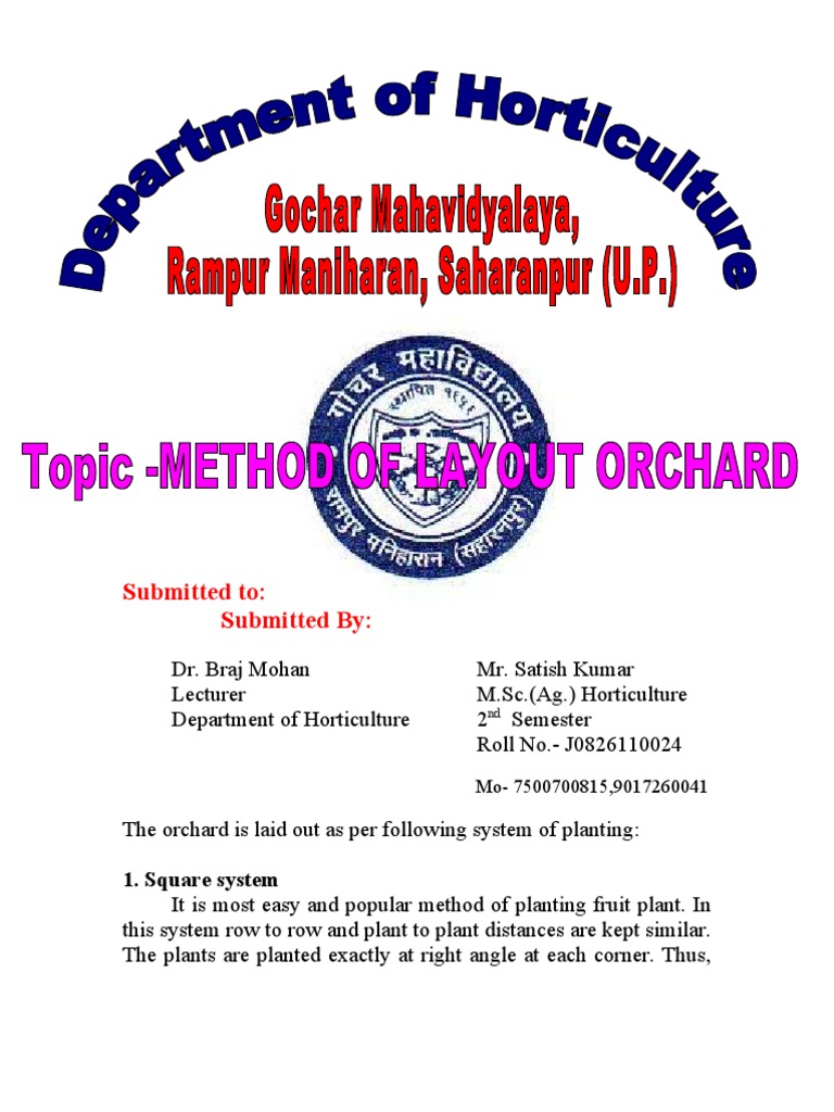 Method of Layout Orchard | PDF | Plants | Trees
