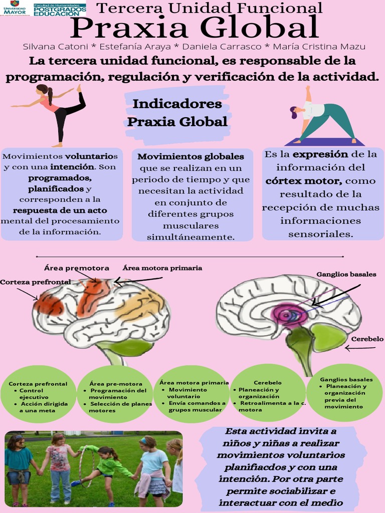 Praxia Global | PDF | Corteza prefrontal | Cerebro