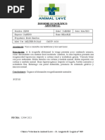 Protocolo TFAST y AFAST en Veterinaria | PDF | Ultrasonido médico | Lesión