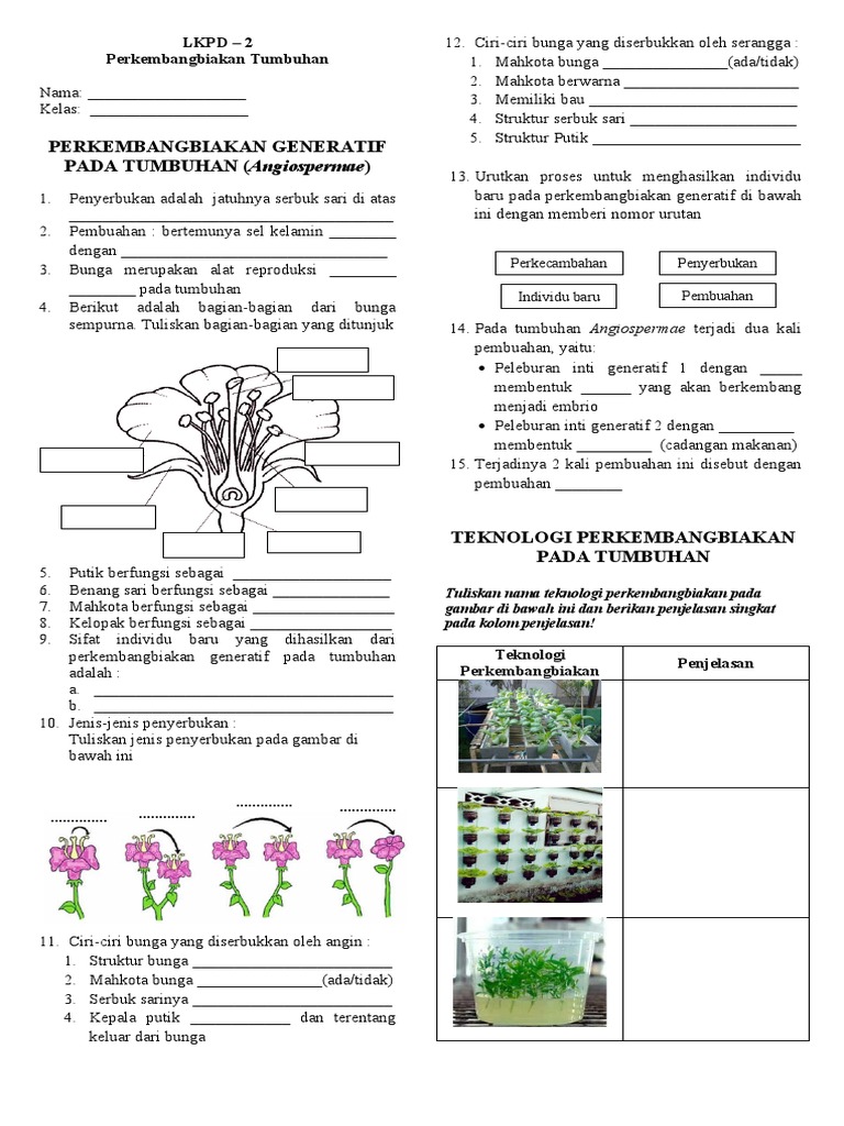 LKS Bunga | PDF
