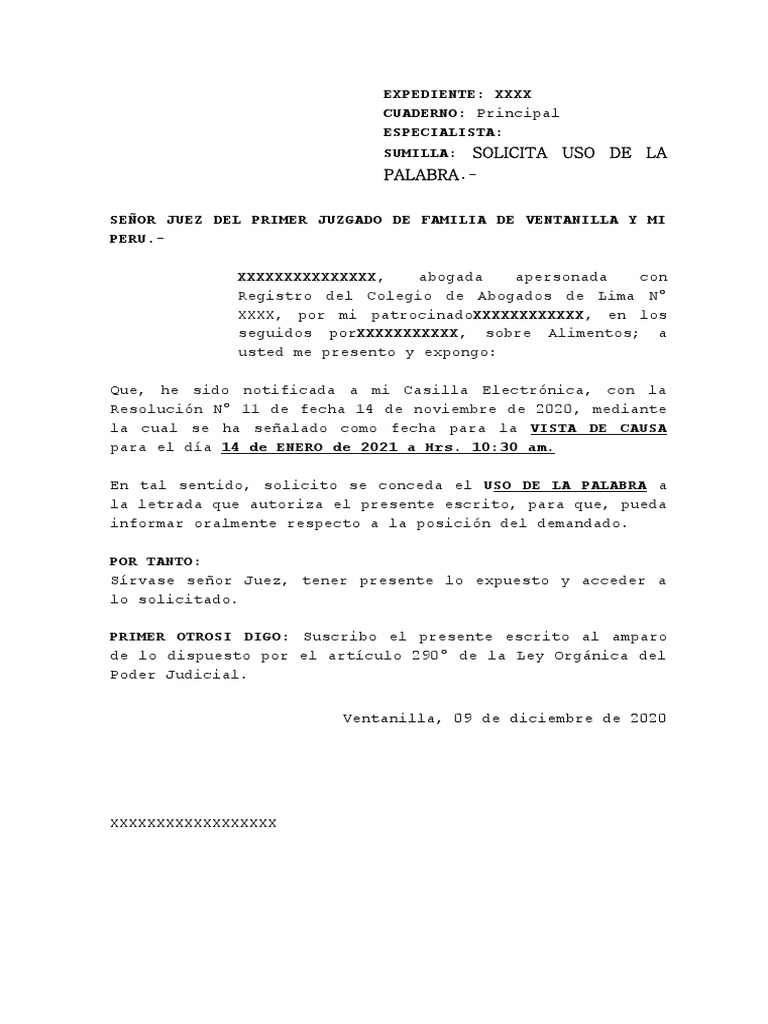 Solicito Uso de La Palabra | PDF