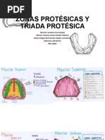 Línea de Fulcro en Prótesis Removible | PDF