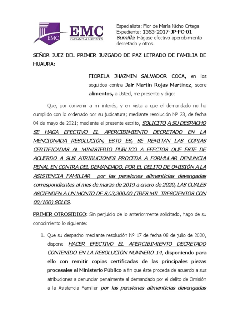 Hágase Efectivo Apercibimiento Decretado RESOL. 23 - FIORELA JHZAMIN SALVADOR COCA | PDF ...