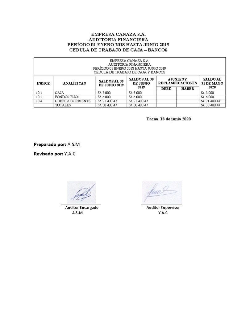 Cedula Sumaria y Analitica | PDF | Auditoría | Servicios financieros