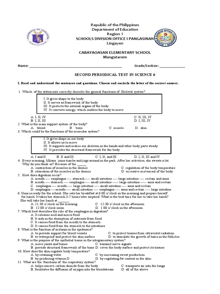 2ND Periodic Test in Science 6 | PDF | Lung | Human Body