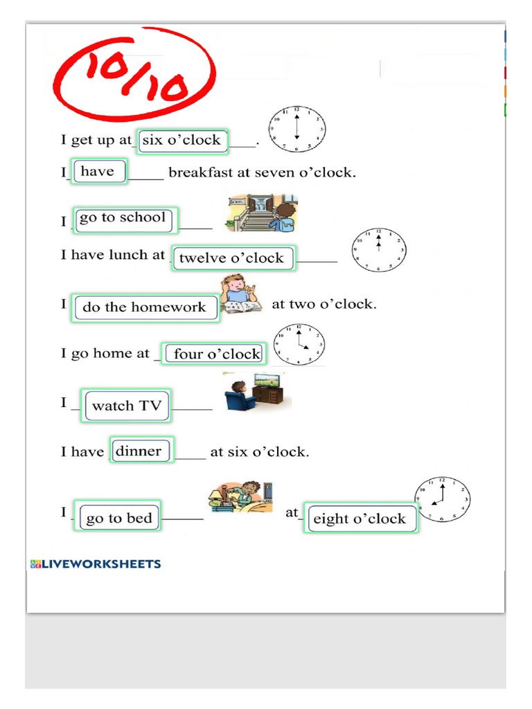 Ejercicio de Daily Routine - Basic Vocab | PDF