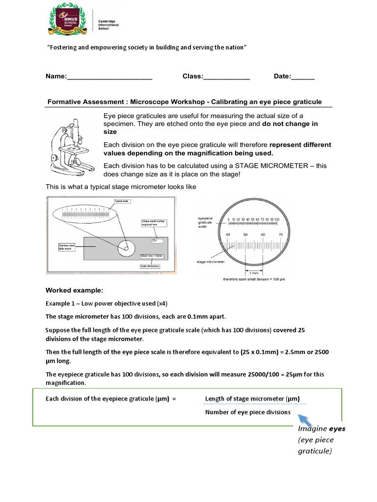 Calibrating Eyepiece Graticules Guide | PDF | Electromagnetic Radiation ...