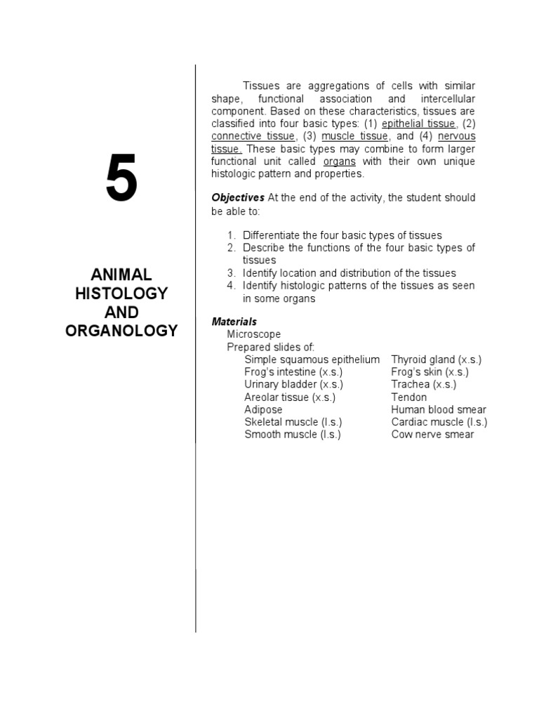 Act05 Animal Histology and Organology Discussion | PDF | Epithelium ...