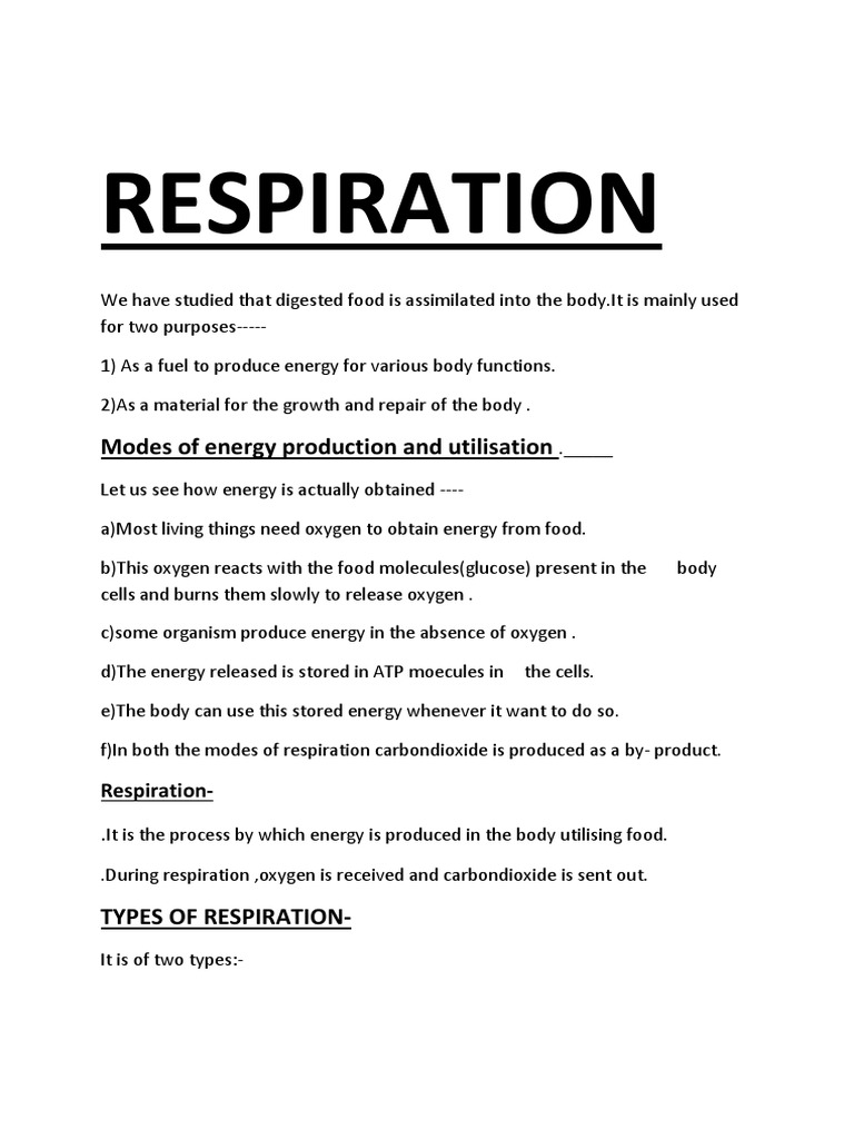 Respiration Class 10 PDF | PDF | Cellular Respiration | Adenosine ...