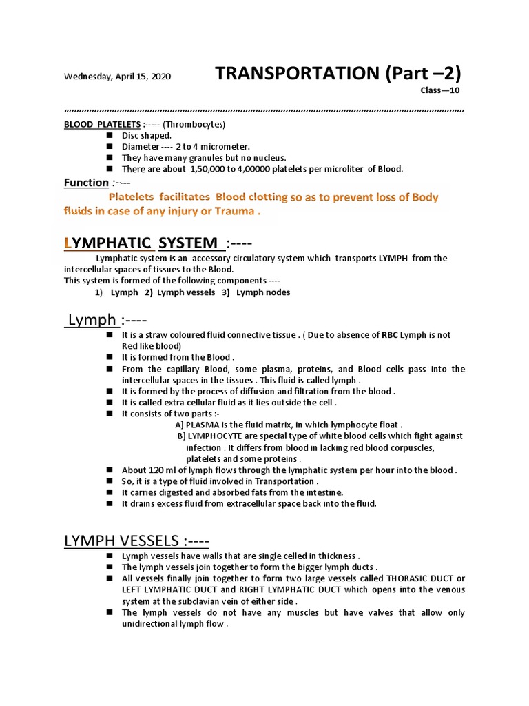Class 10 Transportation | PDF | Heart | Lymph