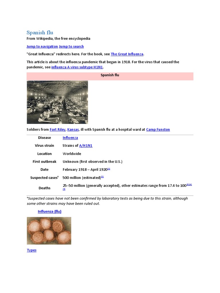 The Great Influenza: Exploring the Deadly 1918 Spanish Flu Pandemic ...