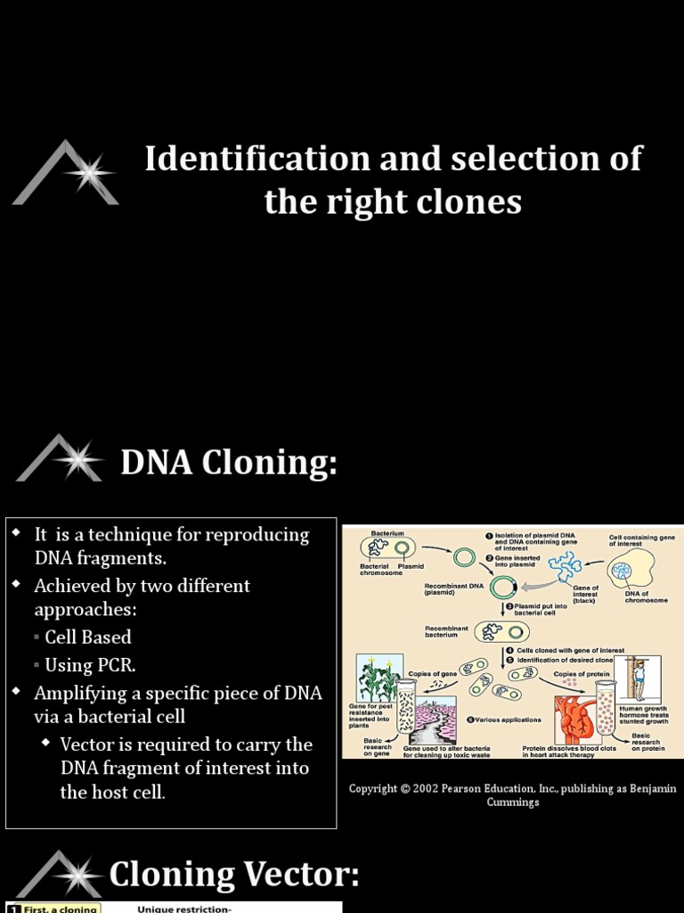 Identification and Selection of The Right Clones | PDF | Blot (Biology ...
