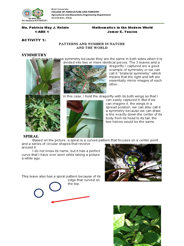 MMW Patterns | PDF | Pattern | Fractal