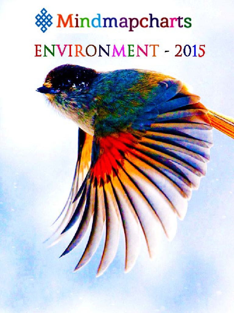 Environment Mind Map | PDF | Biodiversity | Natural Environment