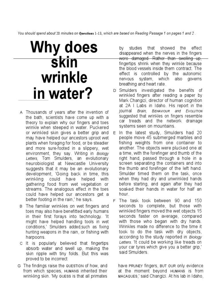 Why Does Skin Wrinkle in Water | PDF | Owl | Neck