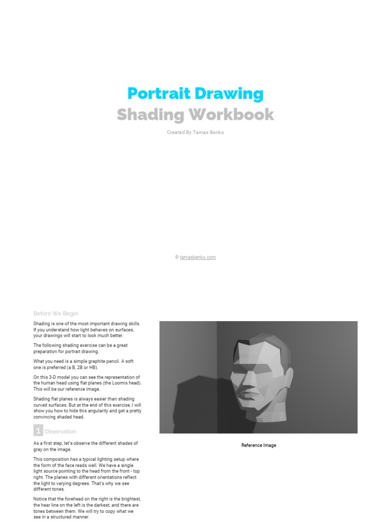 Portrait Drawing: Shading Workbook | PDF | Drawing | Shadow