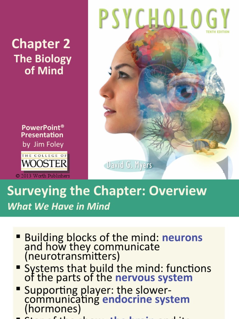 The Biology of Mind: Powerpoint® Presentation | PDF | Neurotransmitter ...