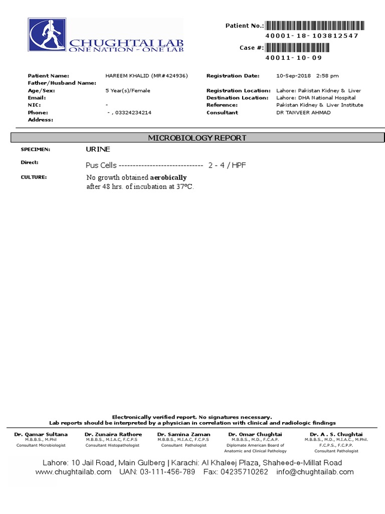 Microbiology Report: Urine | PDF | Pathology | Biology