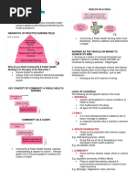 Standards of CHN Practice in The Philippines | PDF | Nursing | Public ...