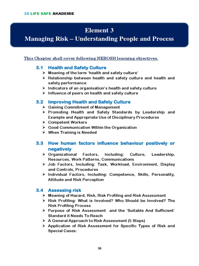 ELEMENT 3 Managing Risk - Understanding People and Process1 | PDF ...