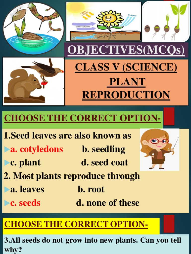 Class 5 MCQs on Plant Reproduction | PDF | Seed | Germination