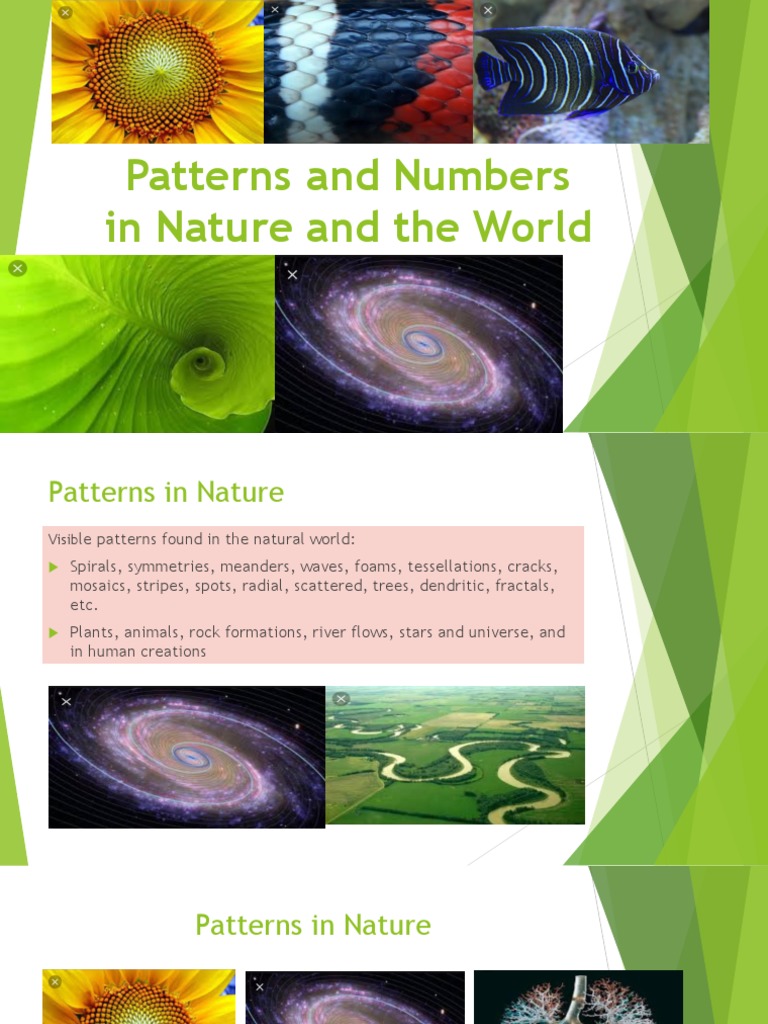 Patterns and Numbers in Nature and The World | PDF | Pattern