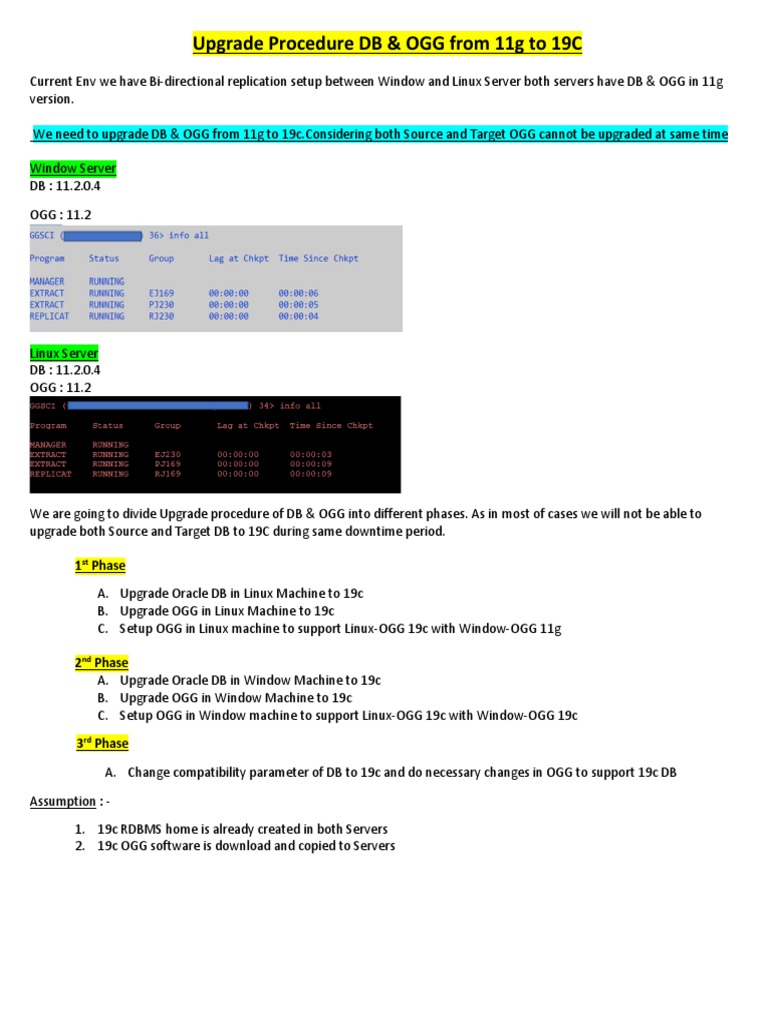Upgrade Procedure DB & OGG From 11g To 19C | PDF | Computer File | Command Line Interface