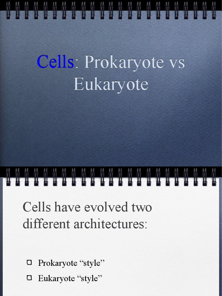 Prokaryote Vs Eukaryote | PDF | Cell (Biology) | Tree Of Life (Biology)