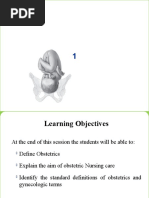 ICM - 2019 Essential Competencies For Midwifery Practice | PDF ...