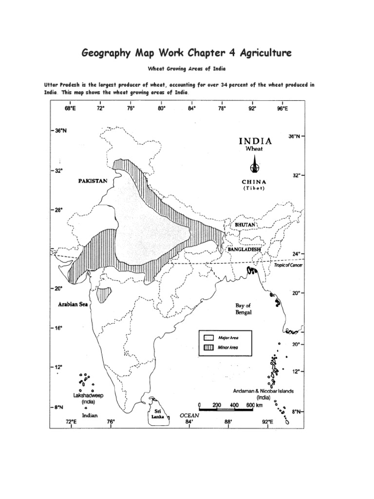 Geography Map Work Chapter 4 Agriculture | PDF | Crops | Food Industry