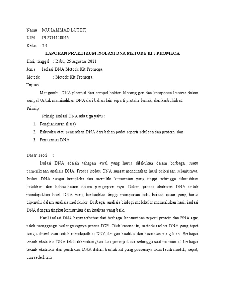 DNA Isolation Report Using Promega Kit Method | PDF