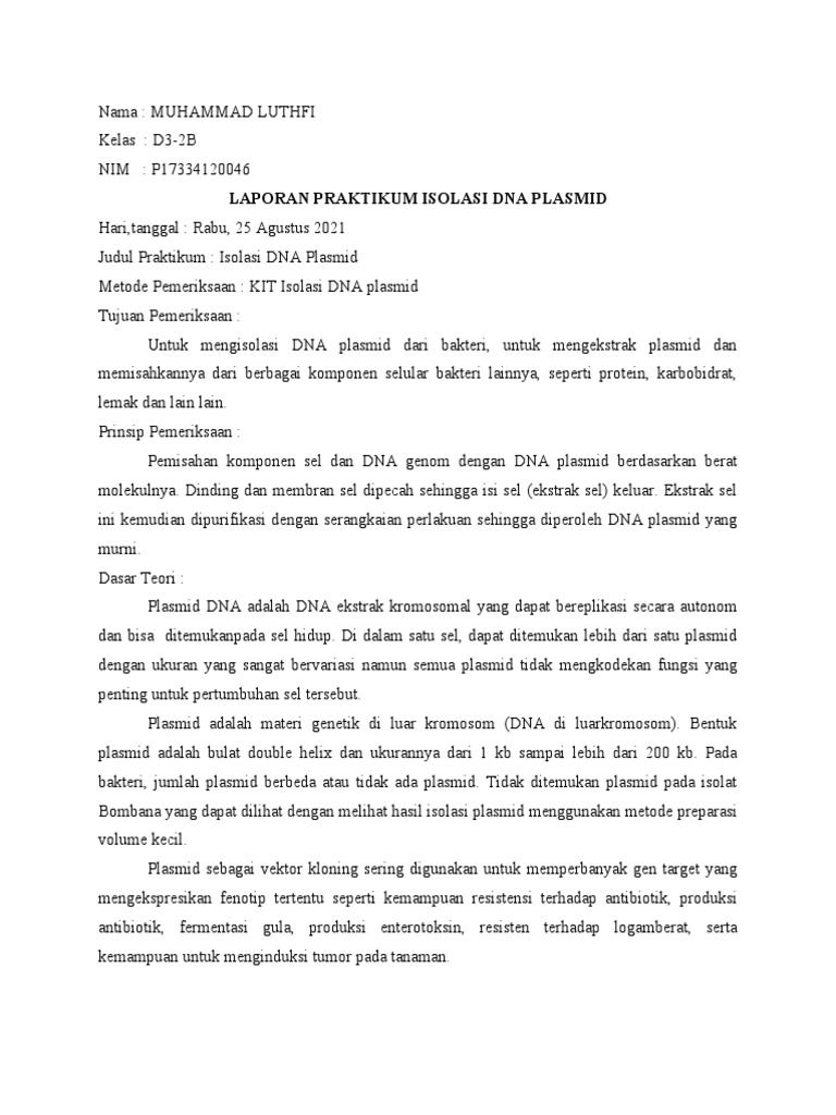 02 - 2B - Muhammad Luthfi - Laporan Praktikum Isolasi DNA Plasmid | PDF | Sains & Matematika