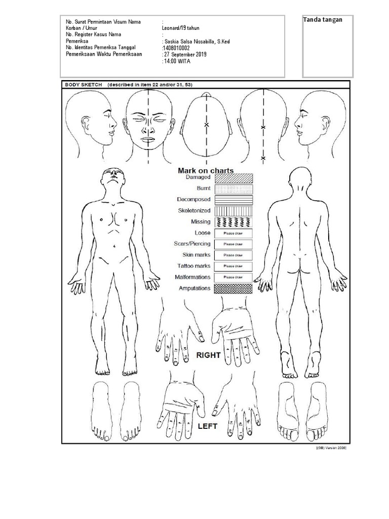 Body Chart LNRD | PDF