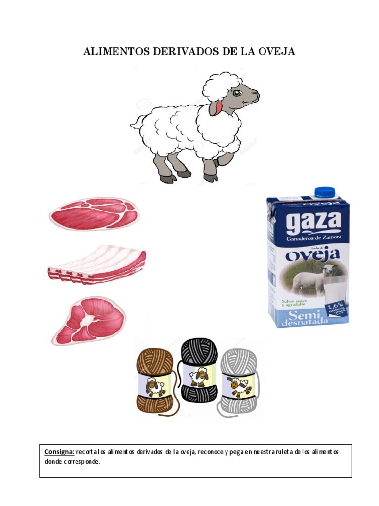 Alimentos Derivados de La Oveja | PDF