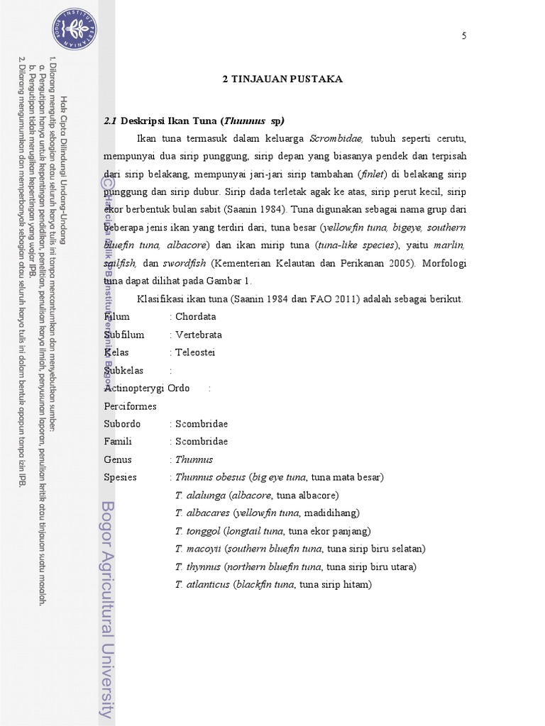 Jenis Ikan Tuna | PDF